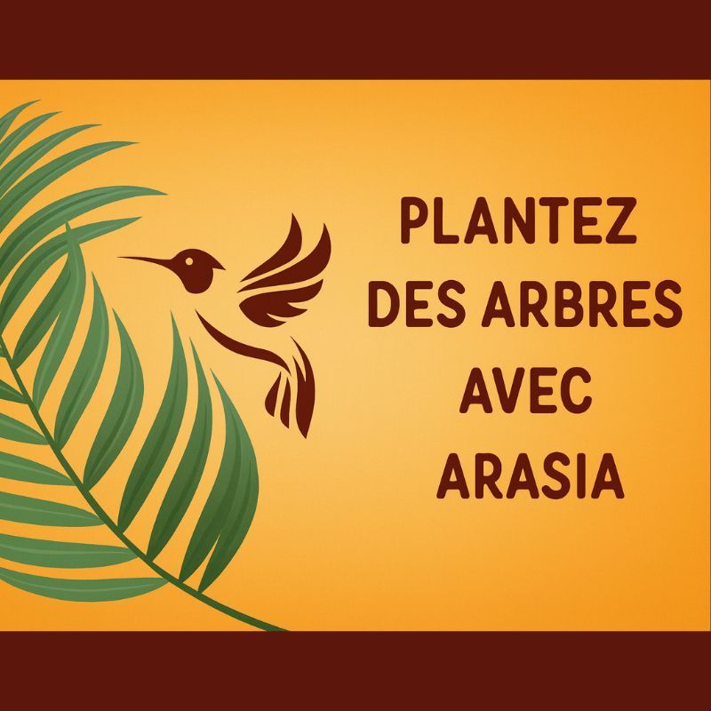 Plantar un Arbol Para 1 Euro - Arasia-Shop